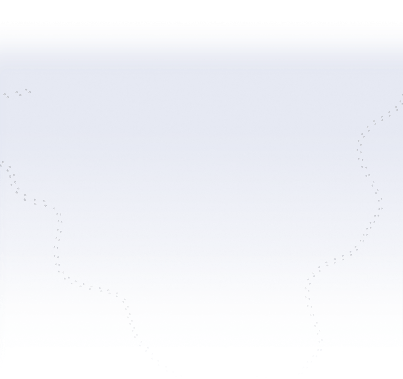 Pack Ventures | The Pack